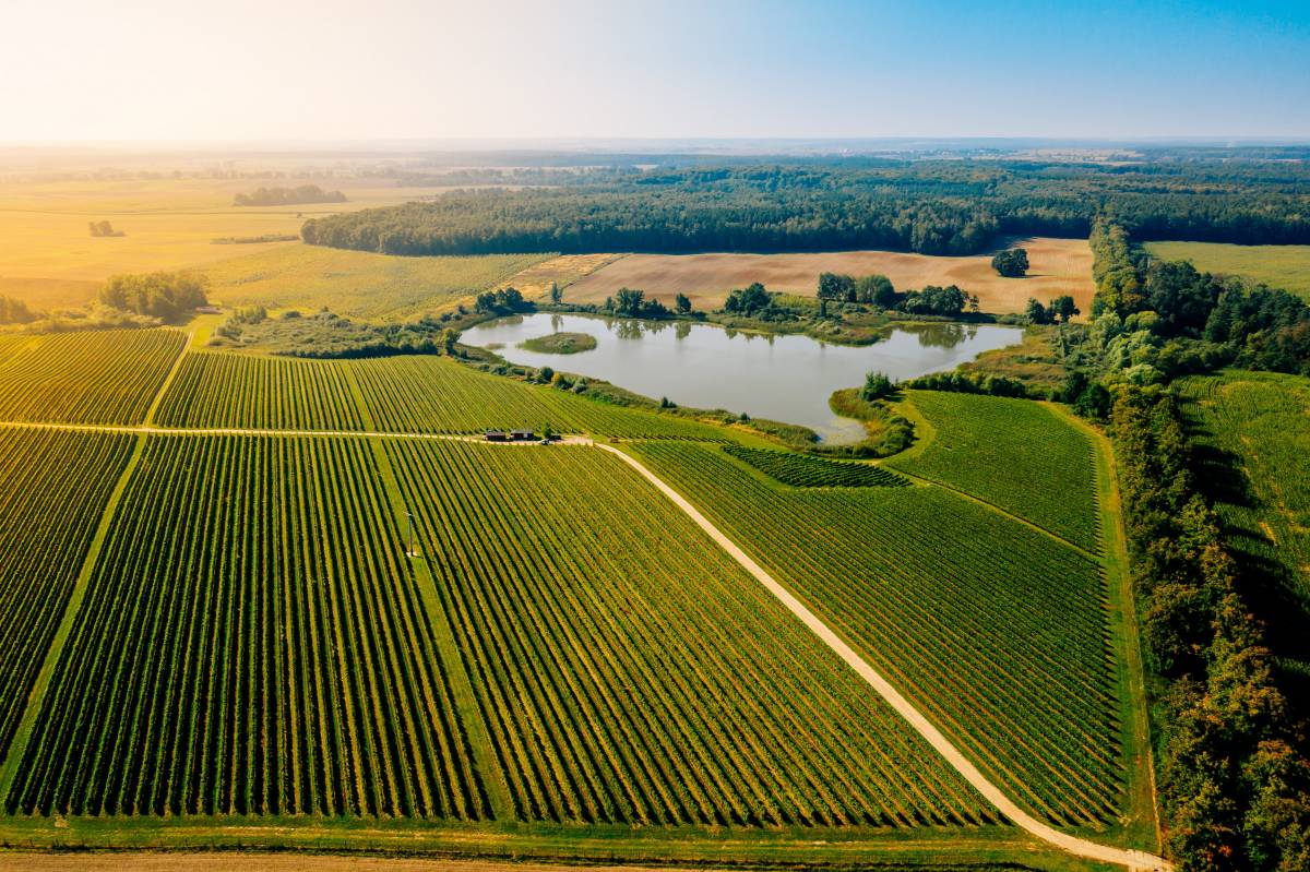 Blue Velo - Etap V [Gryfino - Trzcińsko-Zdrój] - Pomorze Zachodnie