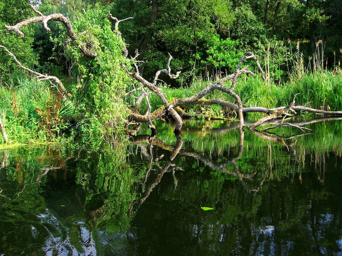 The Drawa River - Pomorze Zachodnie